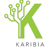 Karibia Solutions - Telematics provider - Niarobi